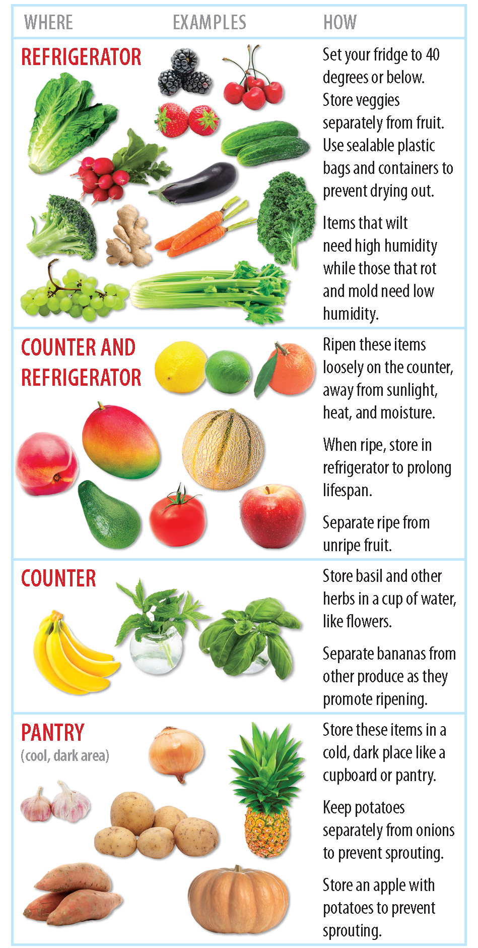 Fruit and Veggie Storage Guide - Napa Recycling